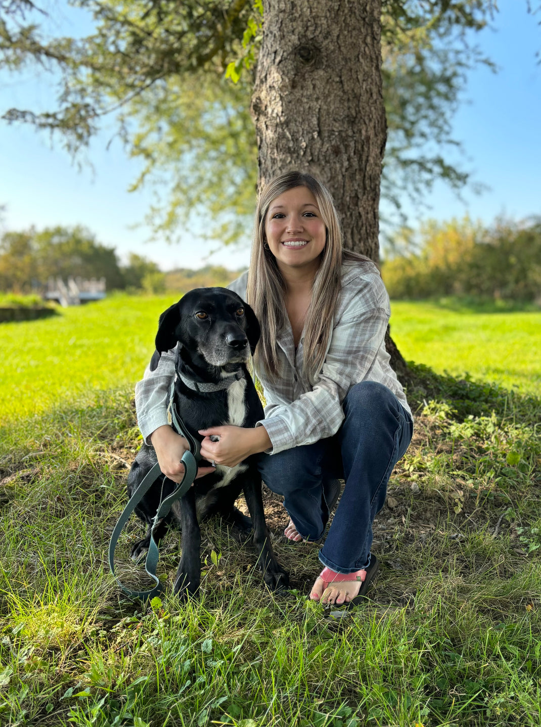 All Natural Dog Treats | Kodee's Krunchies – Kodee's Krunchies Dog Treats